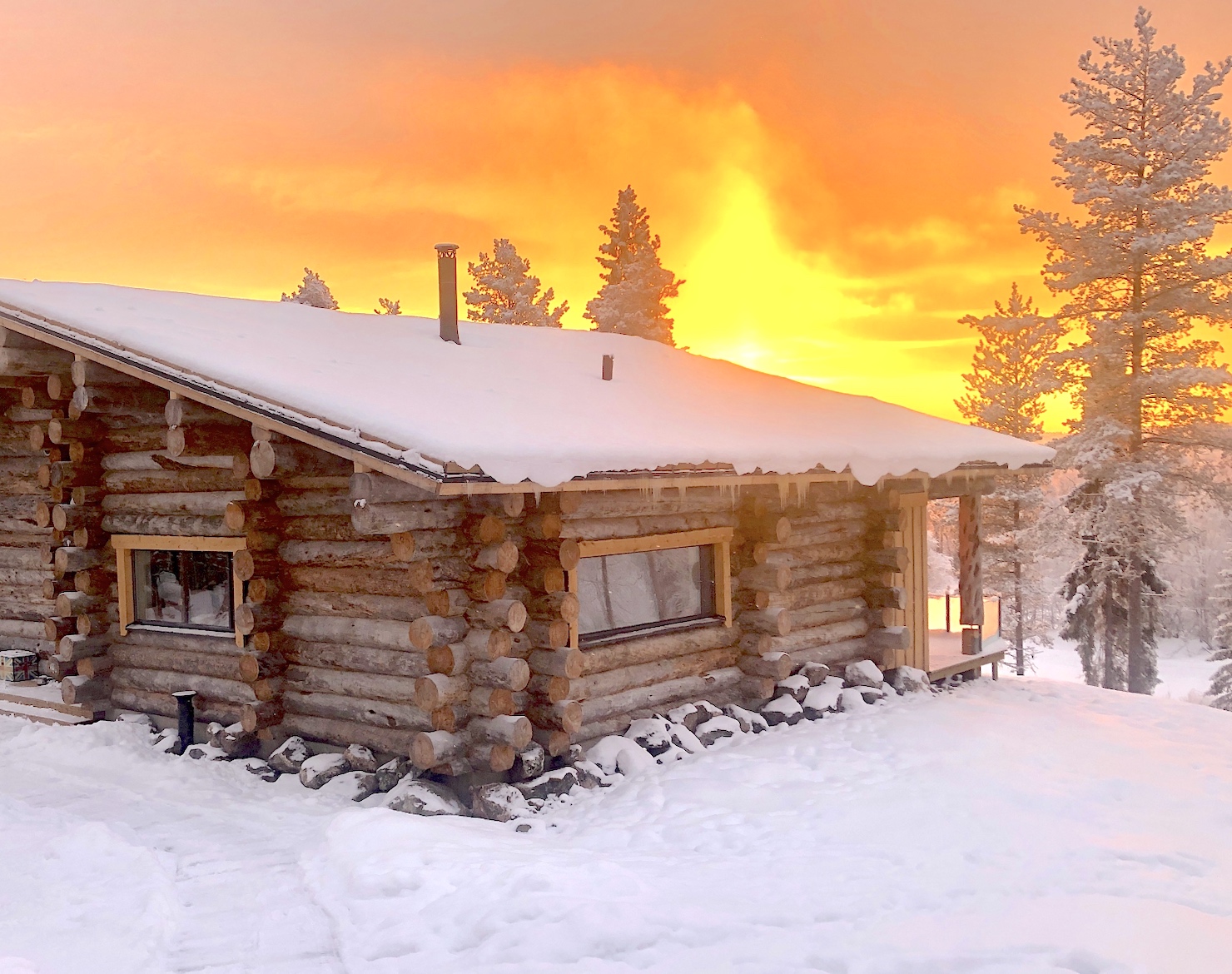 Co-funded by the European Union | Invisible Forest Lodge