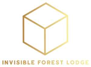 Invisible Suite by Invisible Forest Lodge | Luxury Eco Retreat