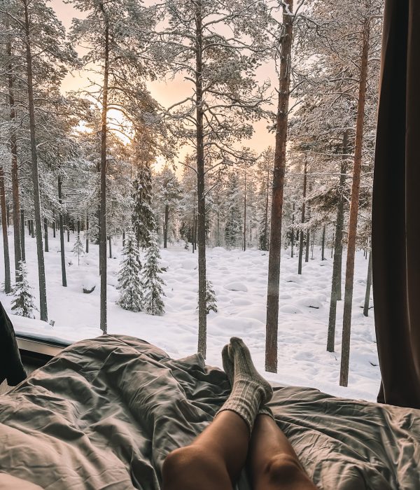 Best Invisible Forest Lodge In Rovaniemi, Finland | Book Now